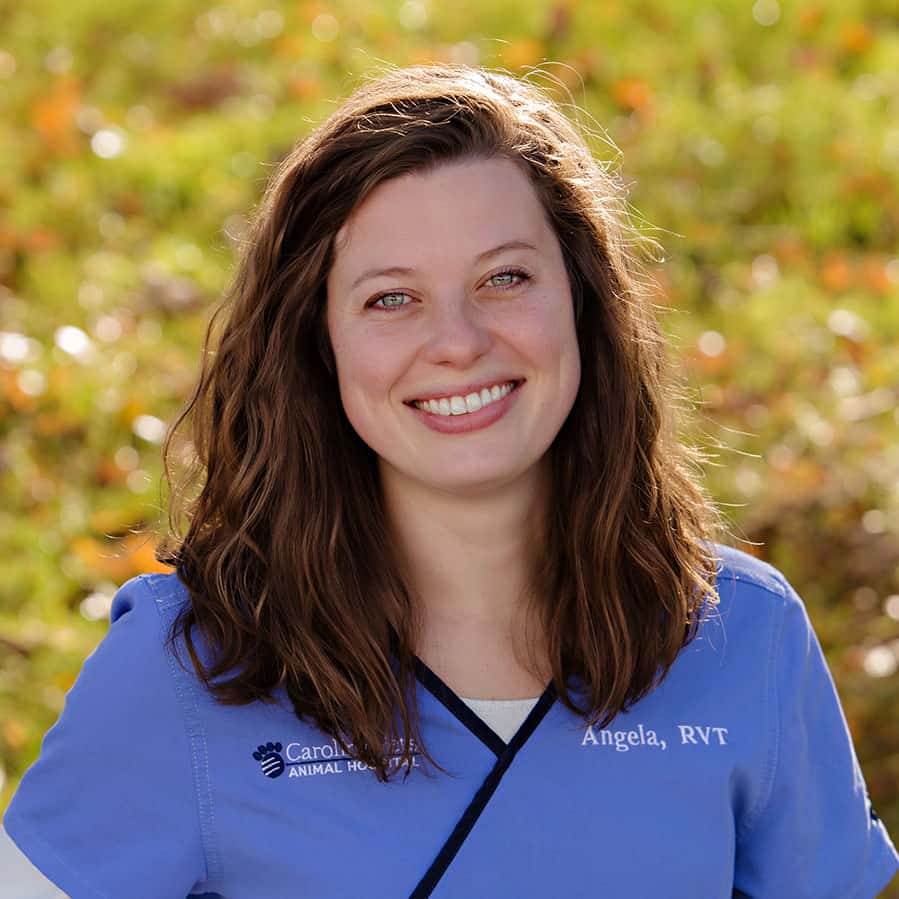Staff - Carolina Pets Animal Hospital
